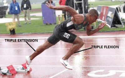 What You Need to Know About Knee Pain Caused by a Hamstring Injury ...